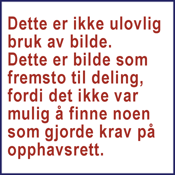 “Bildegribbene” har landet! | Tannhjulet